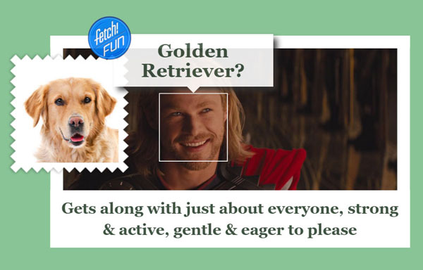 The Cast of Magic Mike XXL, As Fed Through the Fetch! App – POMEgranate ...